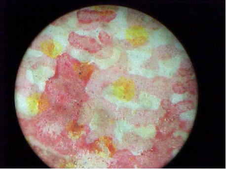 Antique Printing Processes Identification Part 4 of 6: Color Lithography