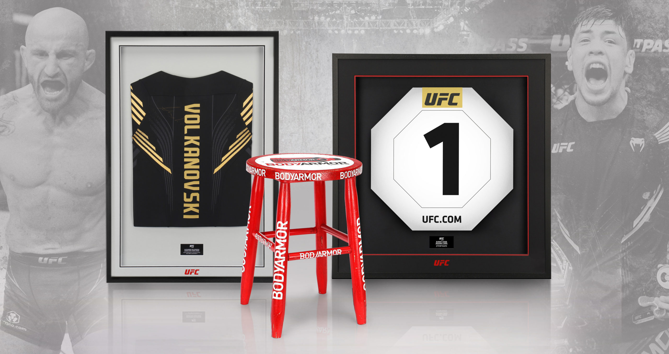 New UFC Auction Site Expands Company's Partnership with Fight Organization