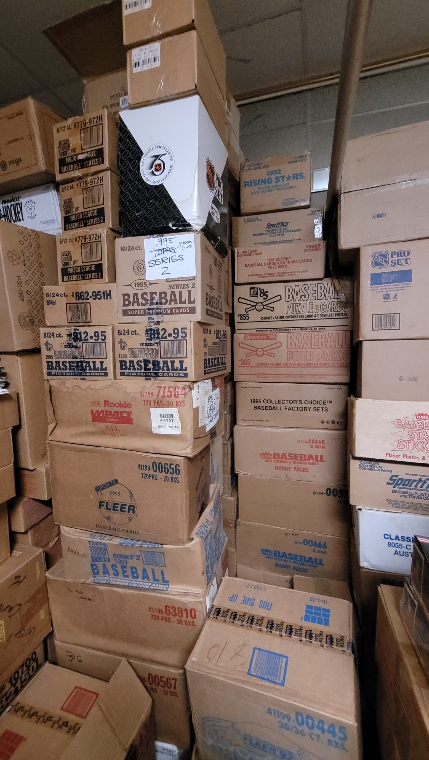 Card Stadium: A Colossus of Cardboard, Memorabilia and Supplies in the ...