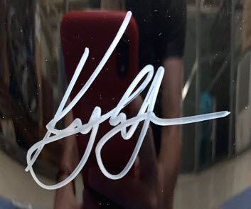 Racer Kyle Larson's 2nd Charity Autograph Auction Set
